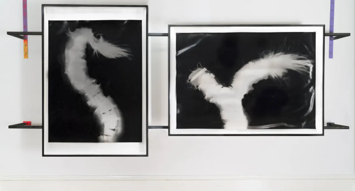 Alumnus Adam Crosson at Galveston Arts Center | Department of Art and ...